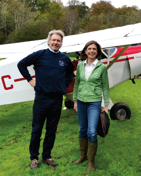 Paintings and bronzes by equine artist Susie Whitcombe